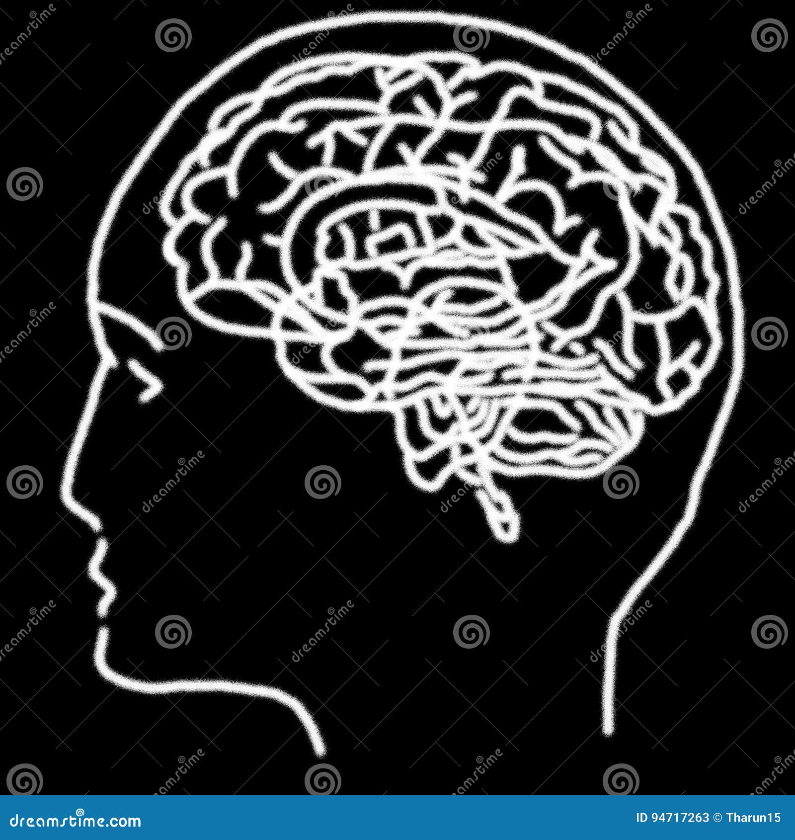 Linear Stylized Drawing Of Brain Royalty-Free Stock Photo ...