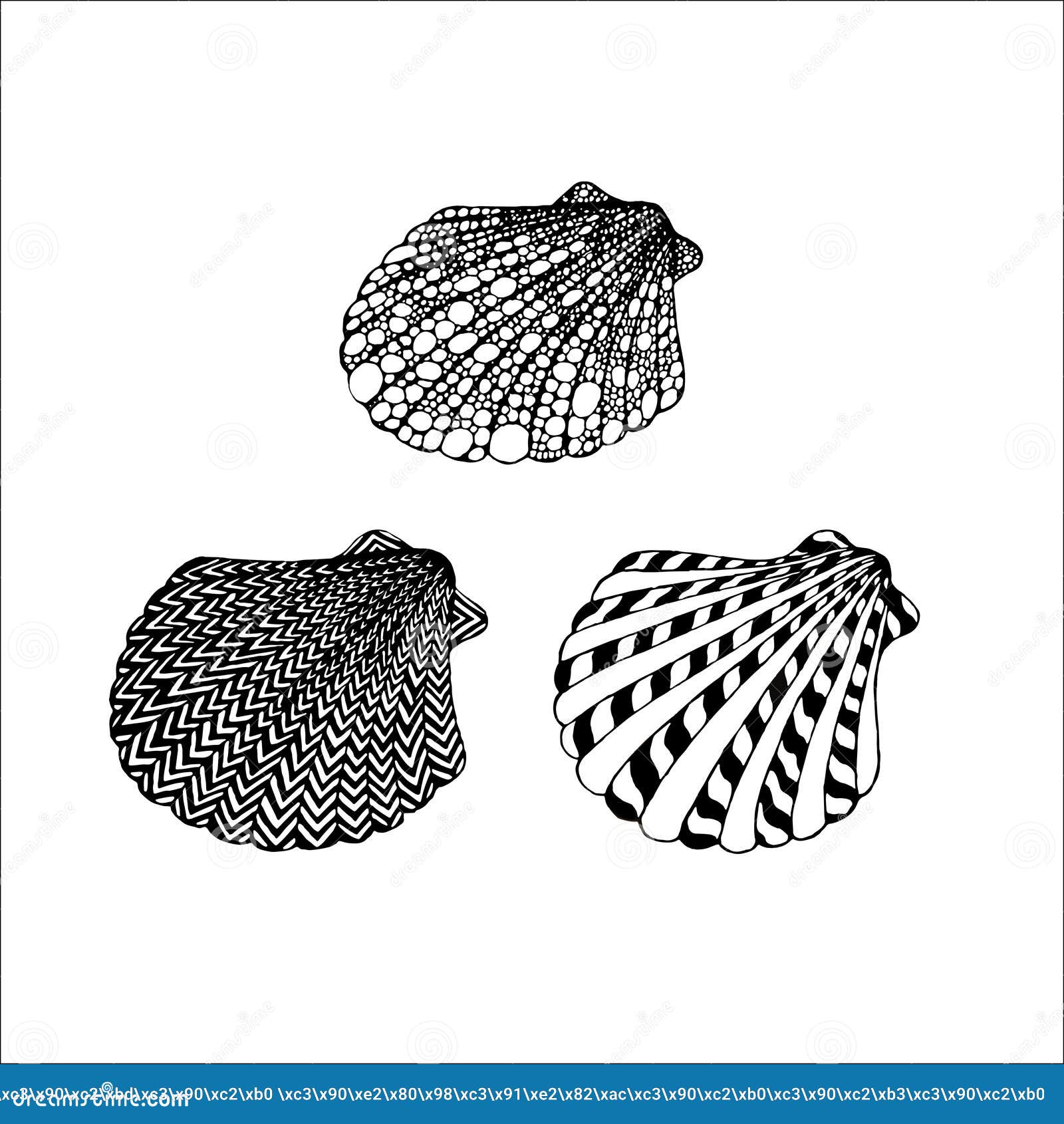 Linear Vector Black Silhouettes of Seashells on a White Background ...