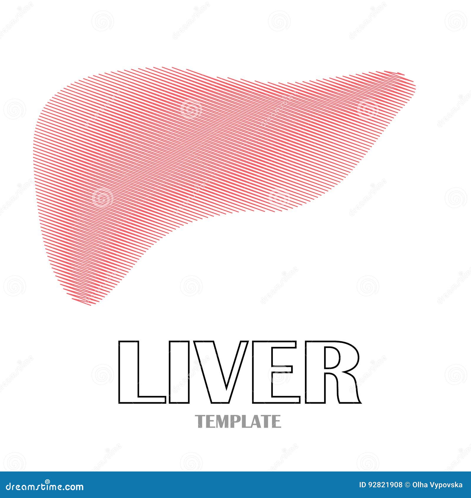 Lineare Stilisierte Zeichnung Der Leber Vektor Abbildung - Illustration ...