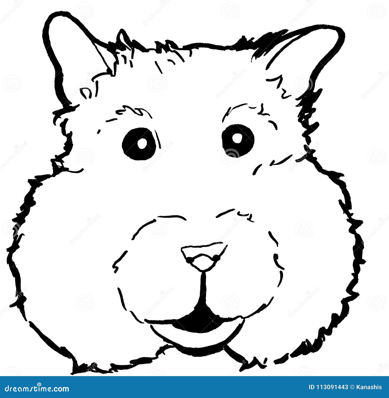 Hamster Line Drawing Stock Photos - Free & Royalty-Free Stock Photos ...