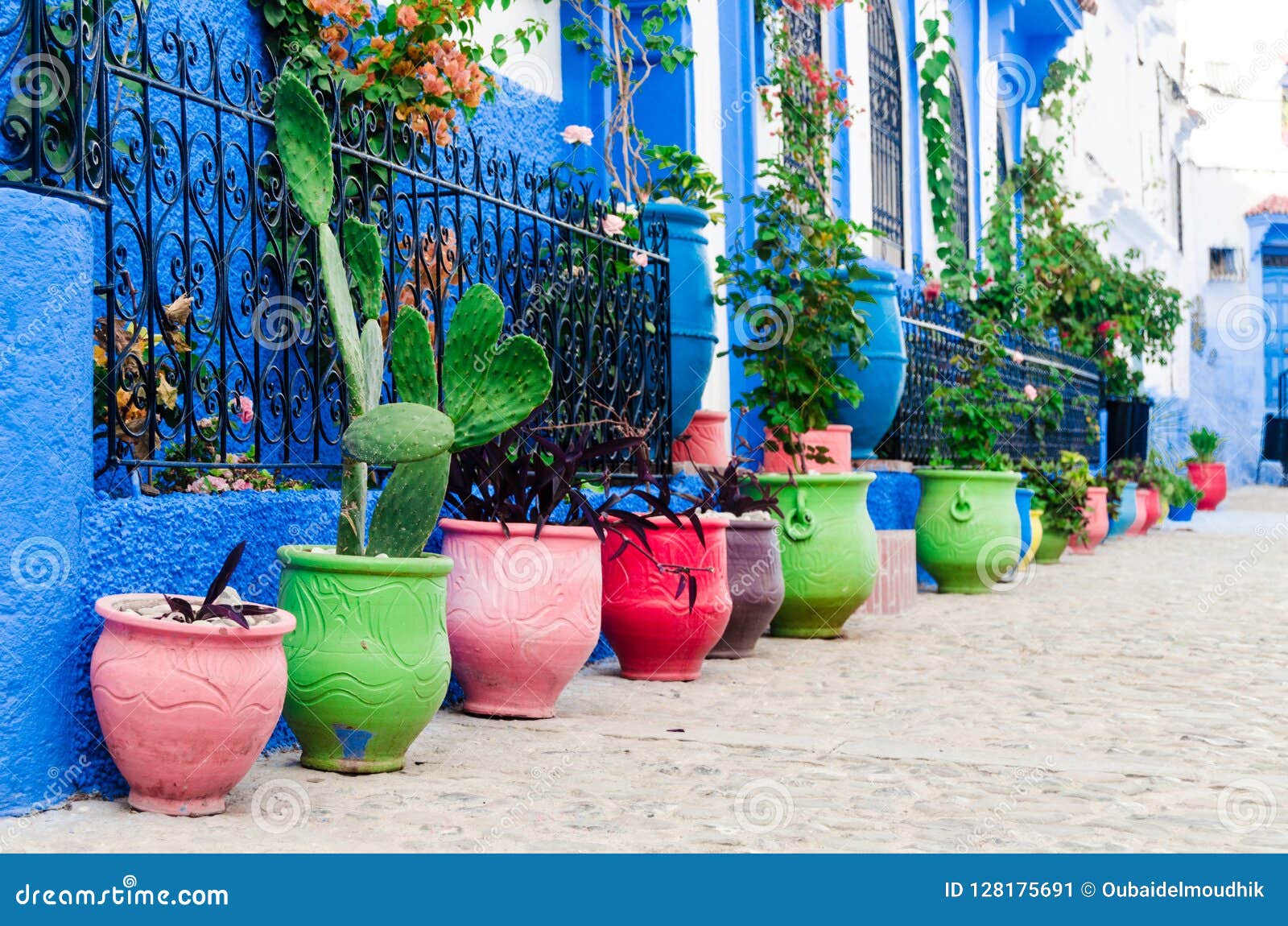 Lined Up Colored Plants Pots Stock Image - Image of flower, color ...