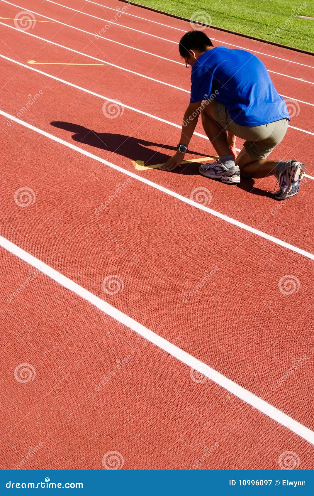 Lined Up Getting Ready for Race Stock Image - Image of focus, compete ...