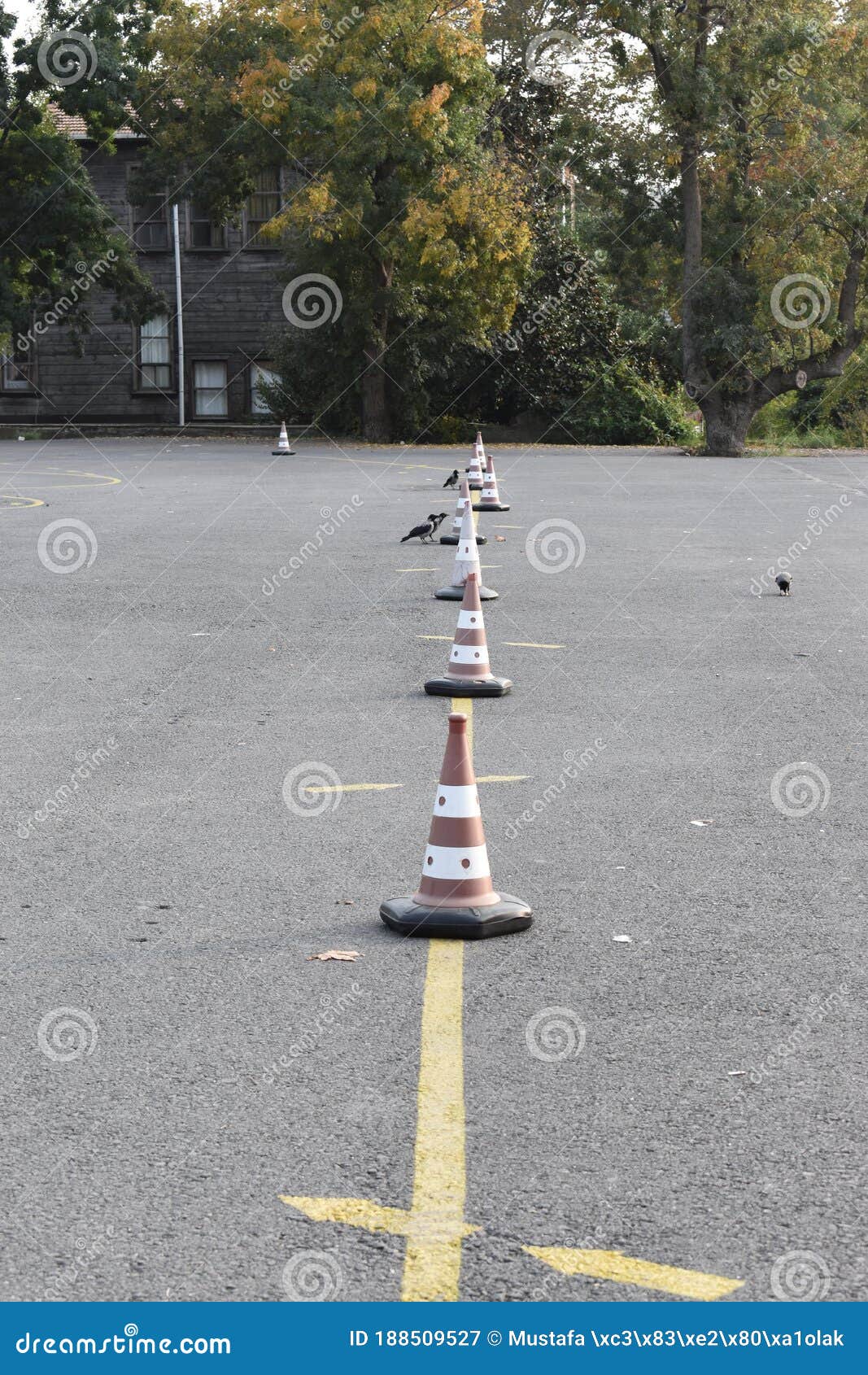 Lined Up on the Road.test Track Stock Image - Image of circuit ...