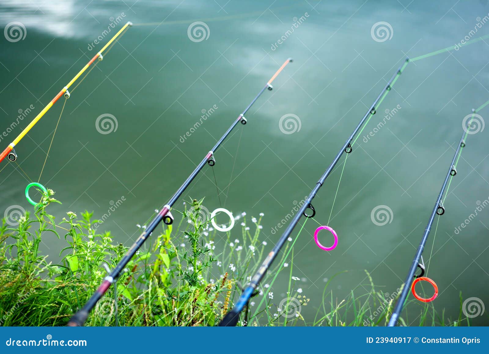 Lined up rods stock image. Image of angling, equipment - 23940917