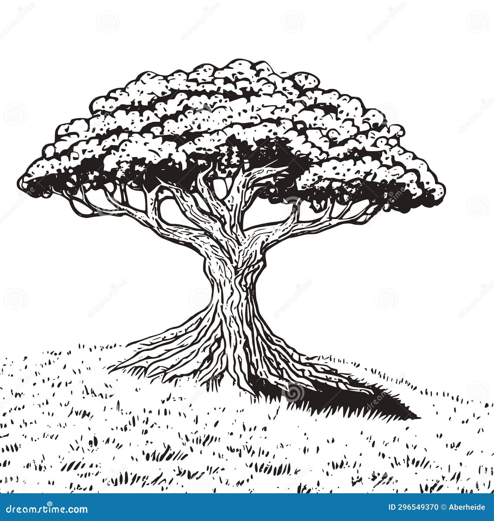 Linedrawing Of A Big Tree On A White Background Cartoon Vector ...