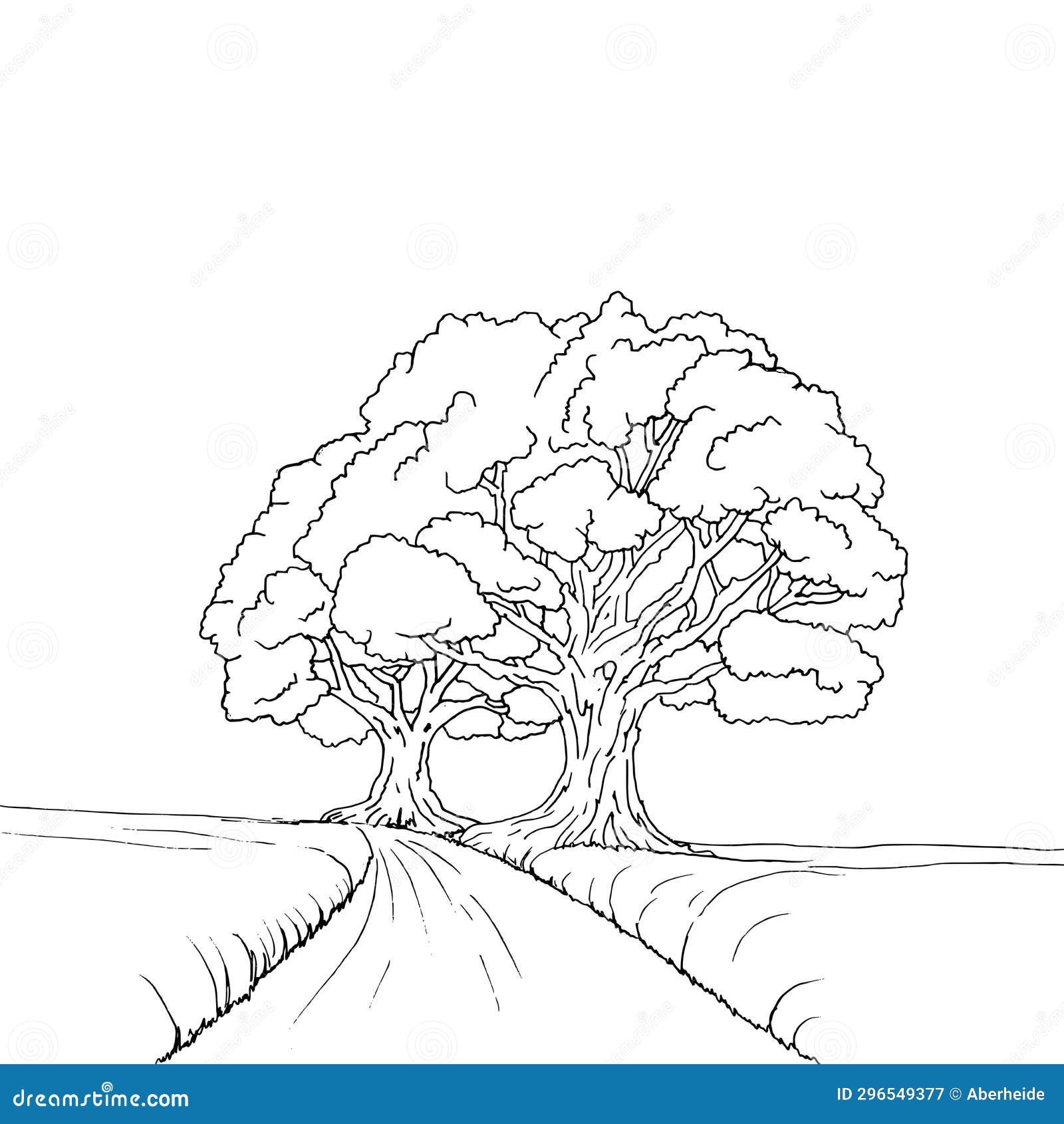 Linedrawing Of A Big Tree On A White Background Cartoon Vector ...