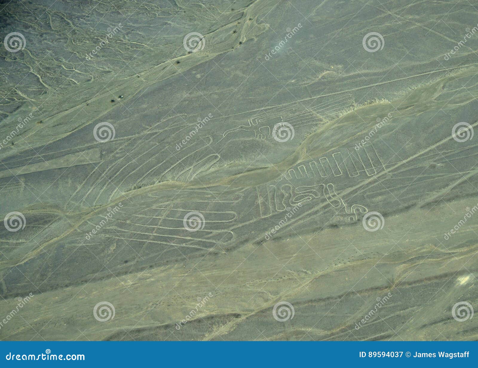 Linee di Nazca: Coperture immagine stock. Immagine di eredità - 89594037