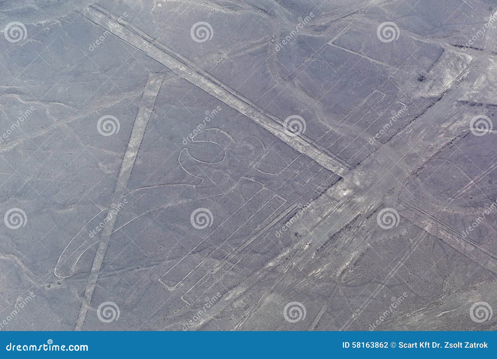 Linee Di Nazca - Il Pappagallo Fotografia Stock - Immagine di antico ...