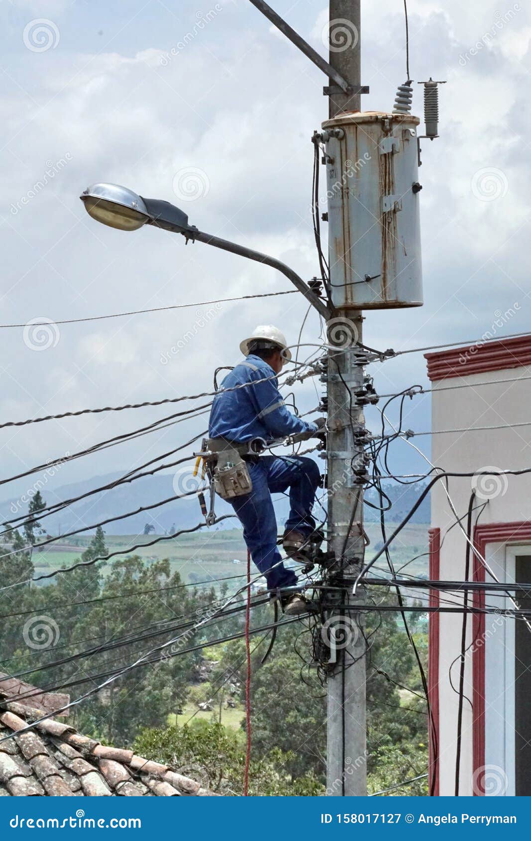 Lineman On Pole