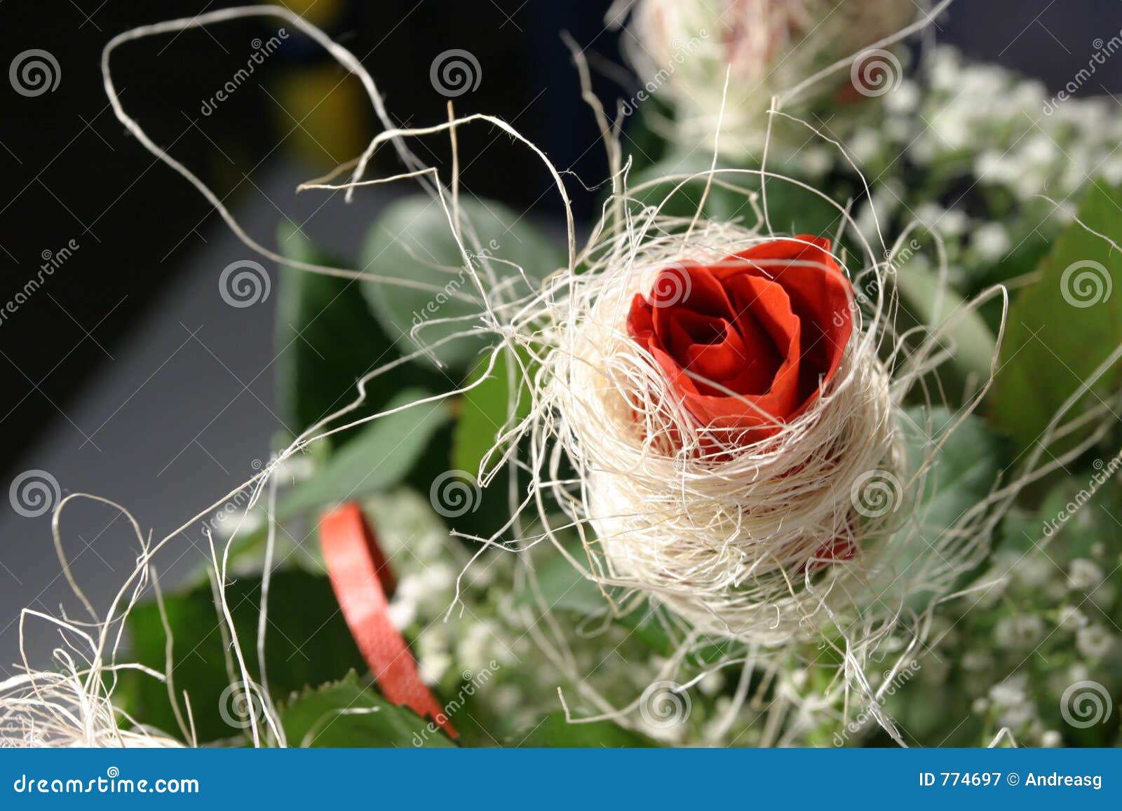 Linen Fibers Around Red Rose Stock Image - Image of fine, bloom: 774697