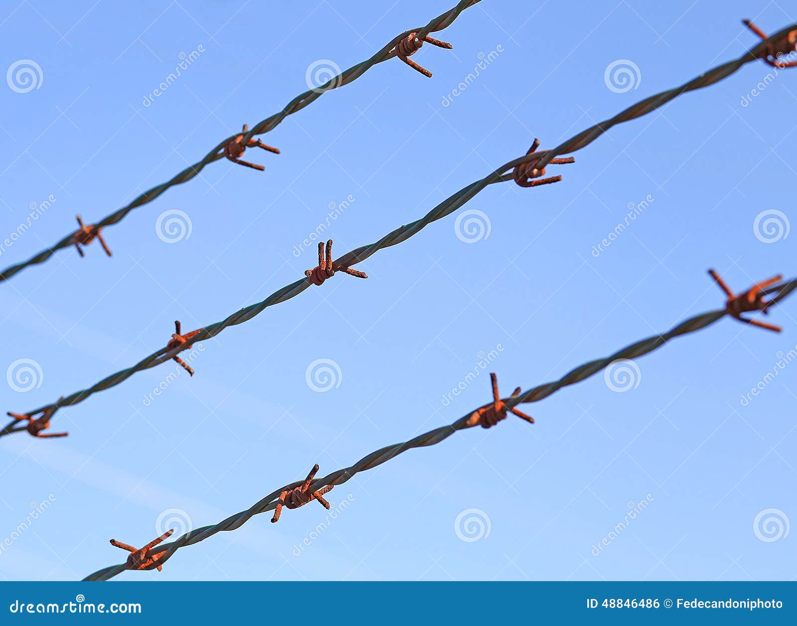 Old Lines Of Barbed Wire To Demarcate The Border Stock Image ...