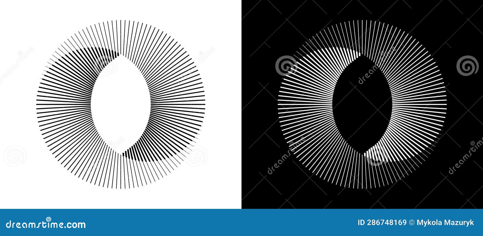 Lines in Circle Abstract Background. Dynamic Transition Illusion Stock ...