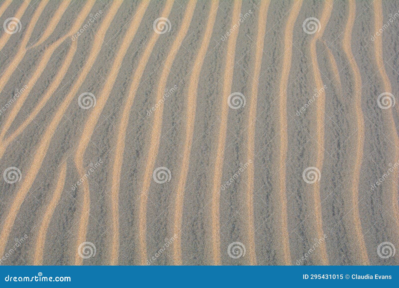Lines in the desert sand stock image. Image of traces - 295431015