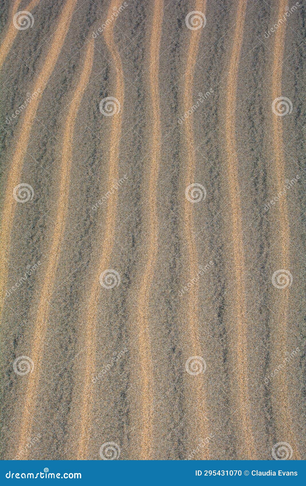 Lines in the desert sand stock photo. Image of drought - 295431070