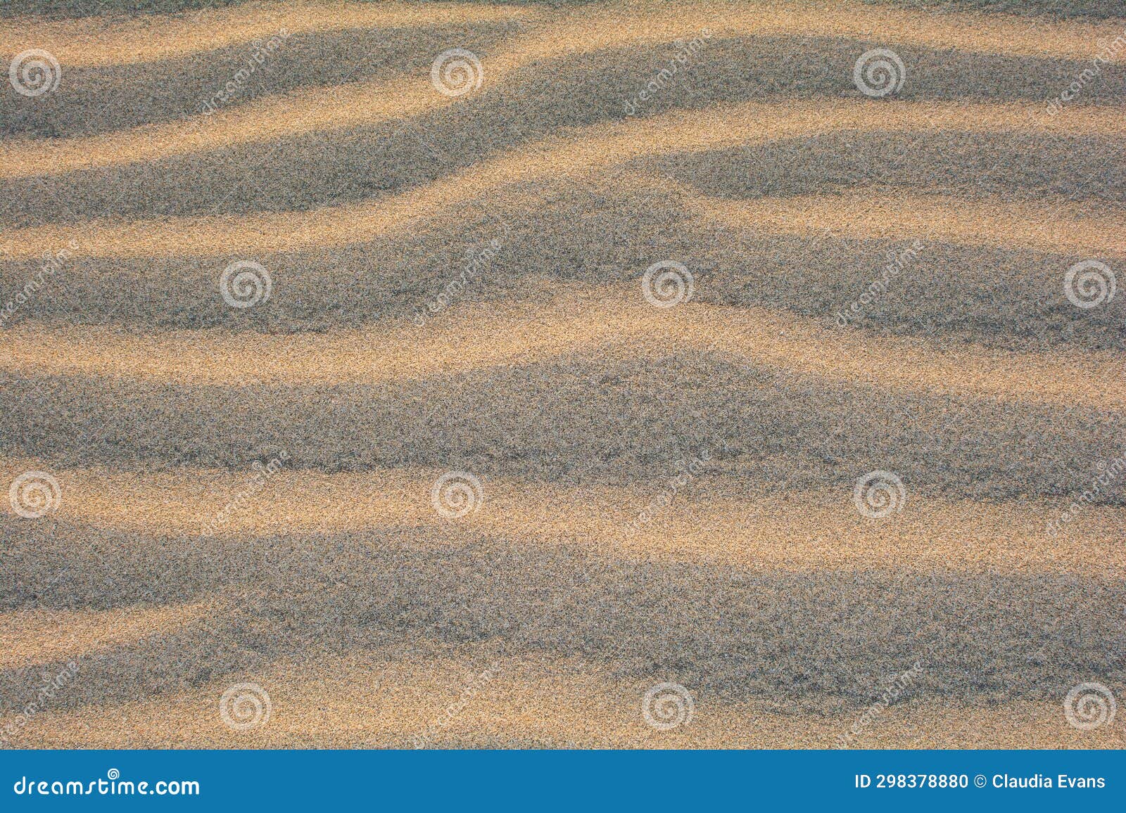 Lines in the desert sand stock photo. Image of sandy - 298378880