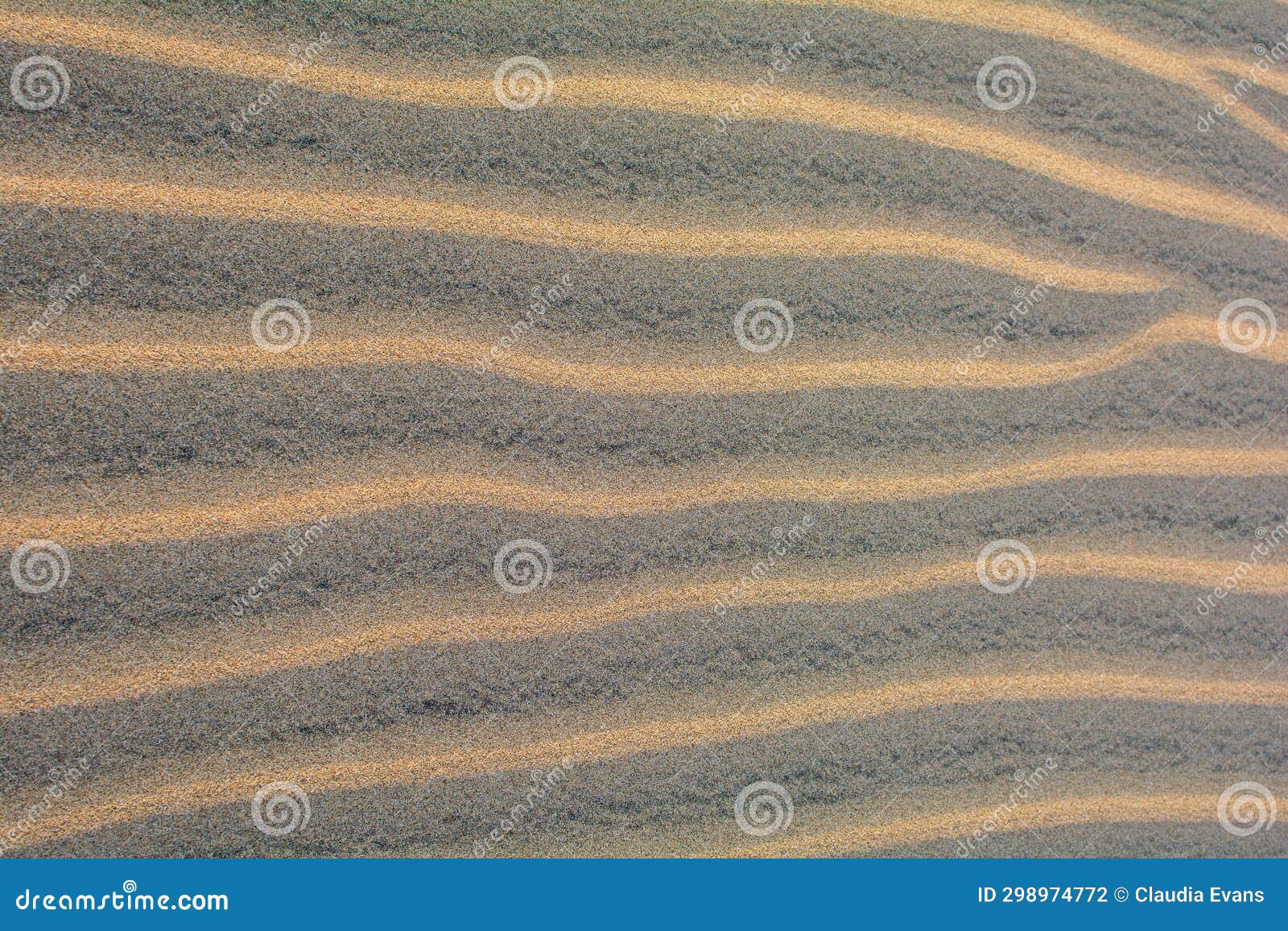 Lines in the desert sand stock photo. Image of surface - 298974772
