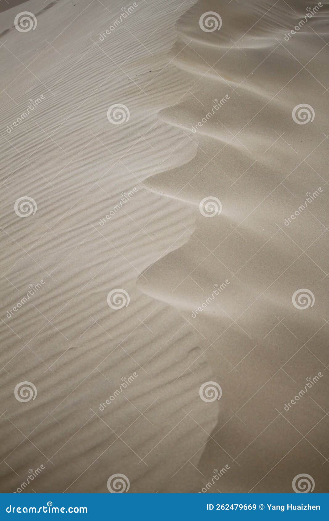 Lines of the desert stock image. Image of line, blue - 262479669