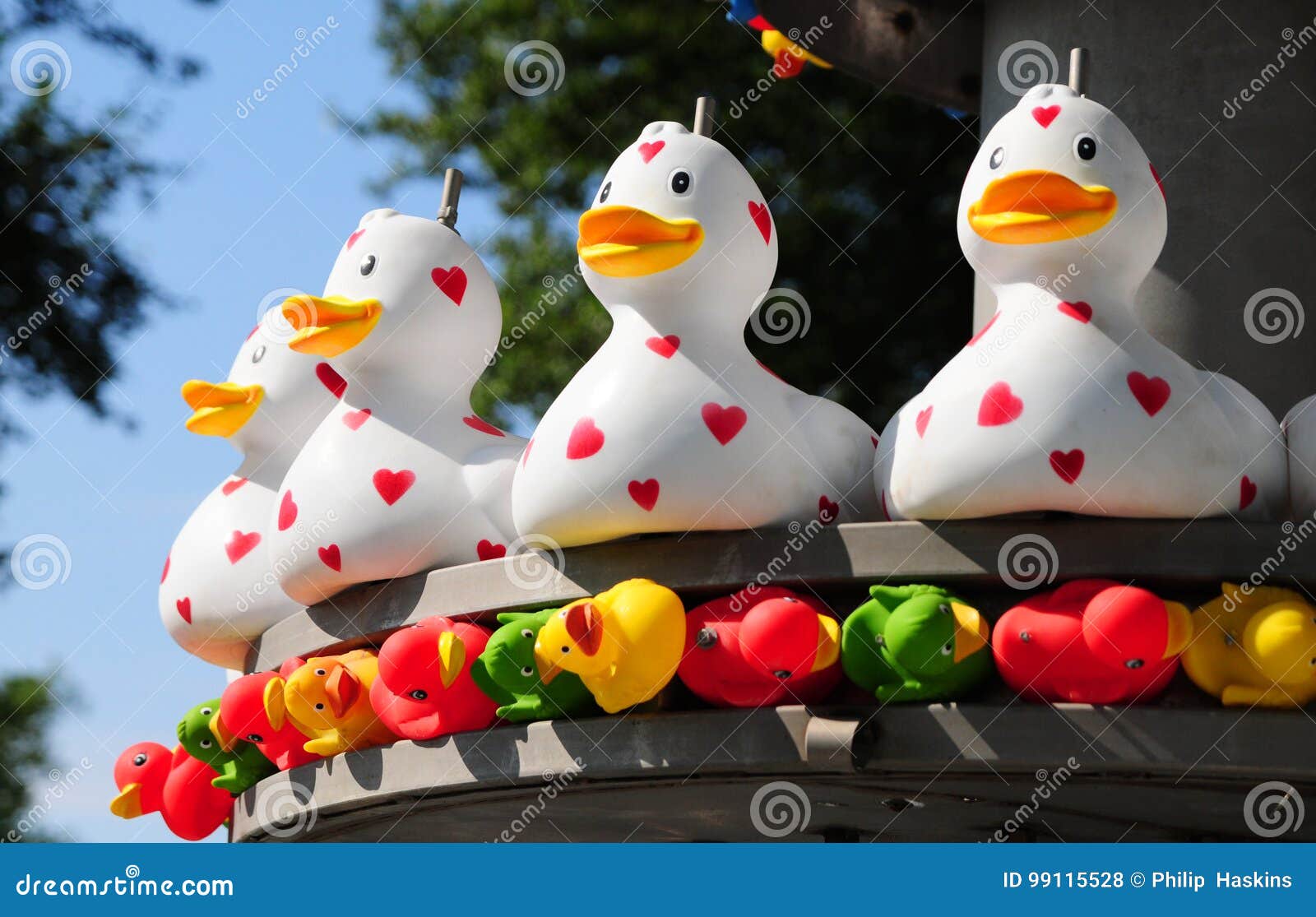Lines of Duck stock photo. Image of plastic, funfair - 99115528