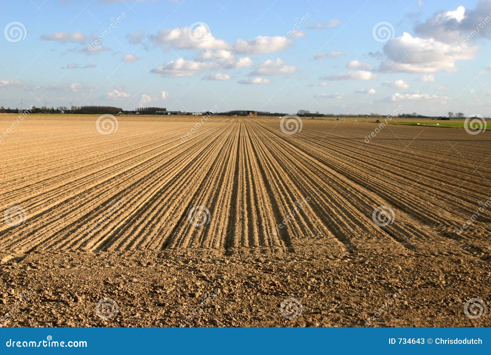 Lines on farm stock image. Image of dutch, holland, plant - 734643