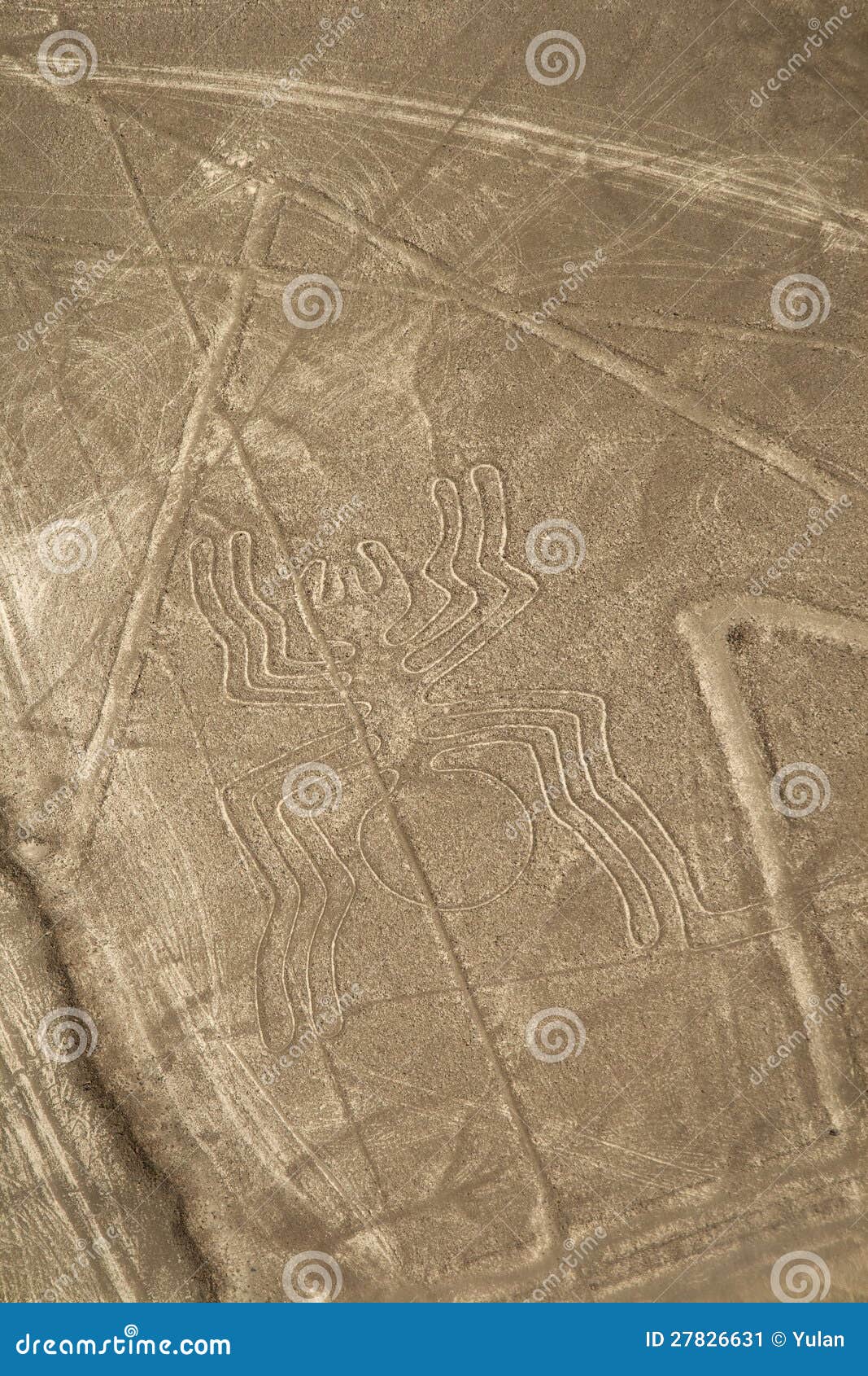 Lines and Geoglyphs of Nazca, Peru - Spider Stock Image - Image of ...