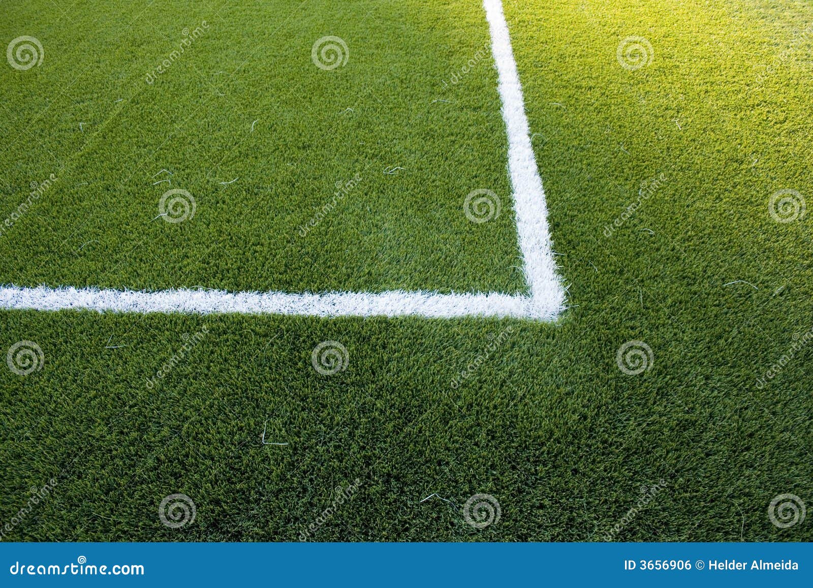 Lines in the grass field stock photo. Image of land, landscaped - 3656906