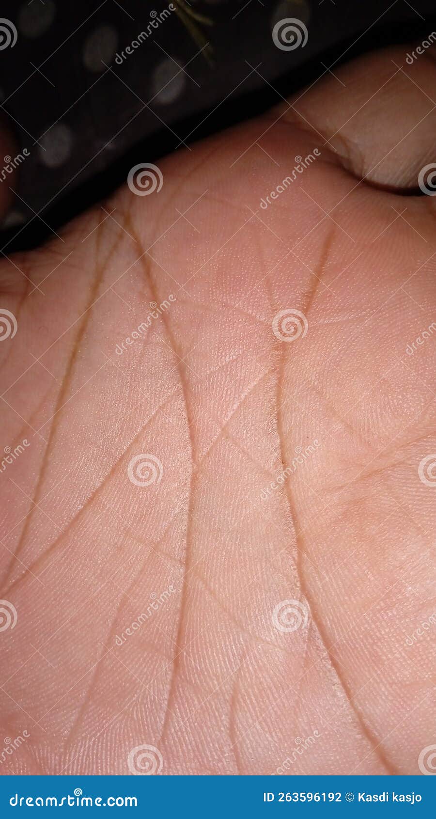 The Lines on the Hands of Every Human Being Have Different Meanings ...