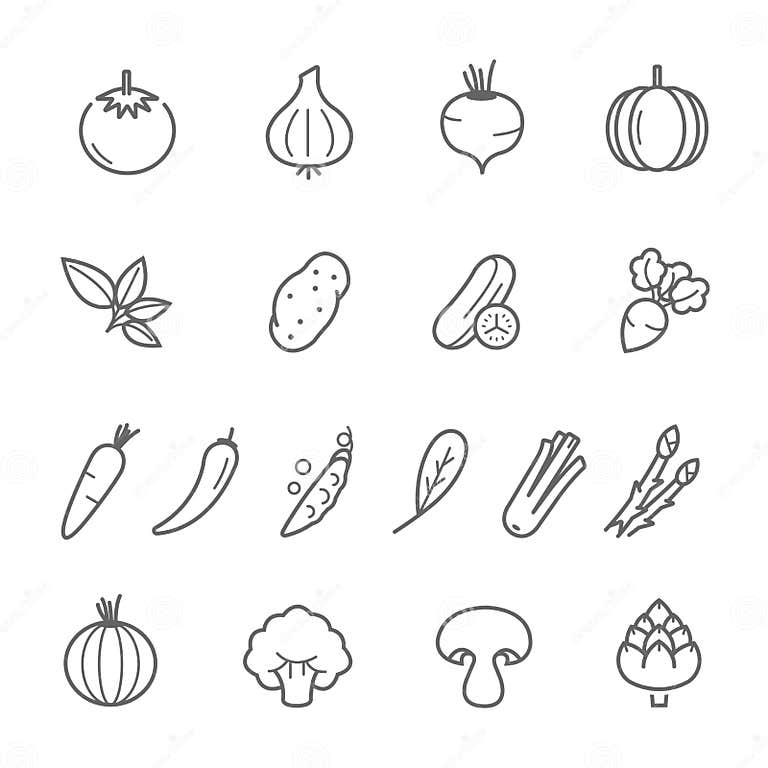 Lines icon set - vegetable stock vector. Illustration of cherry - 67932935