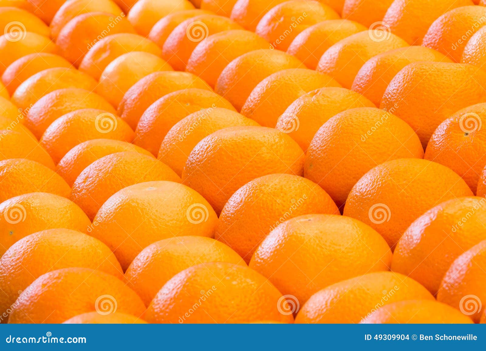 Lines of Many Oranges in Rows Stock Photo - Image of natural ...