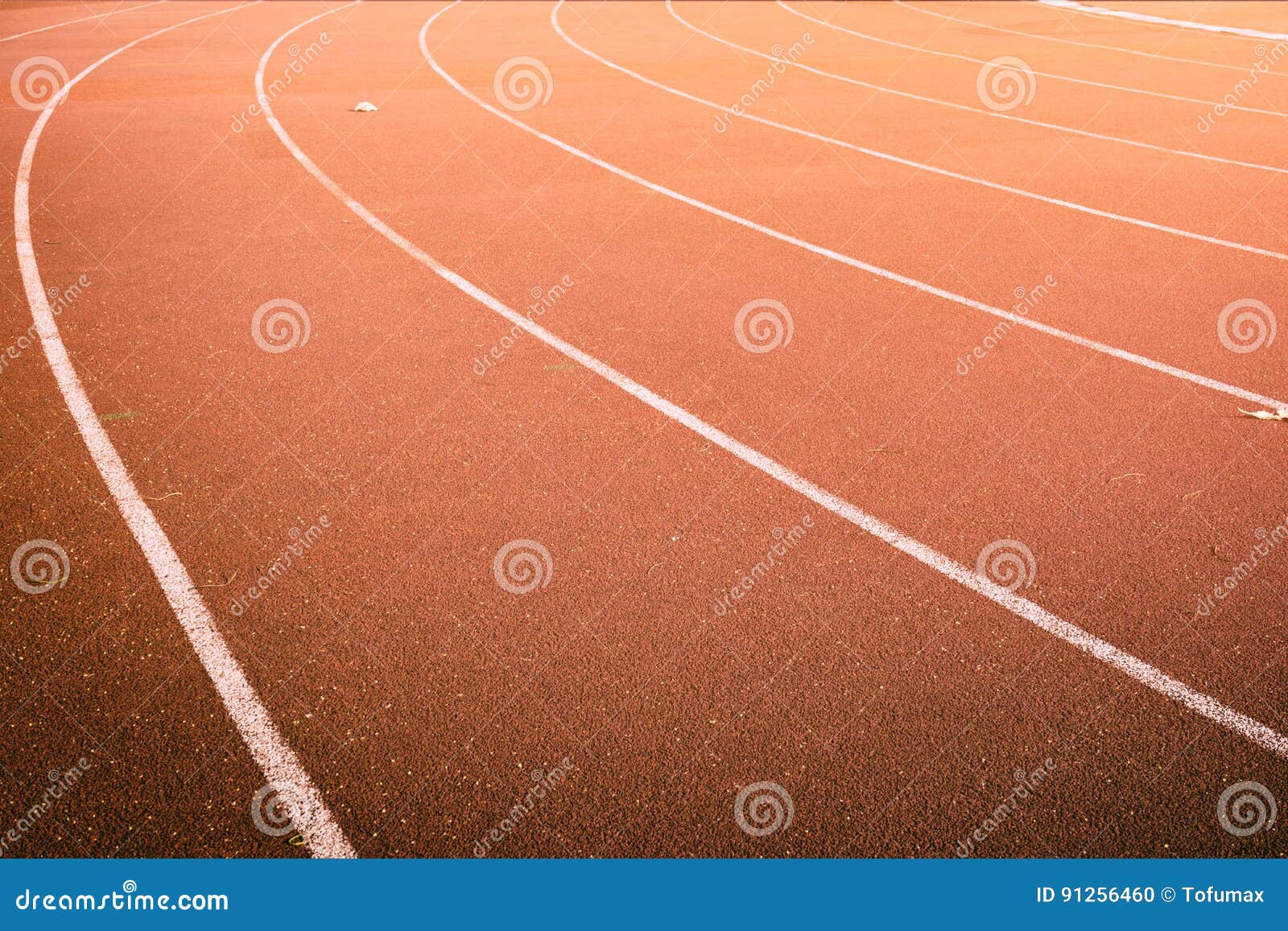 Lines Marks in Running Track Stock Photo - Image of race, sport: 91256460