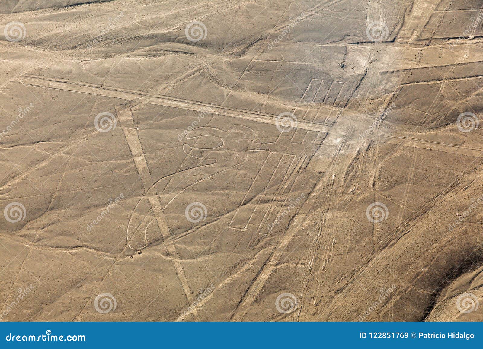 The Parrot - Nasca Lines - Peru Stock Image | CartoonDealer.com #90820873