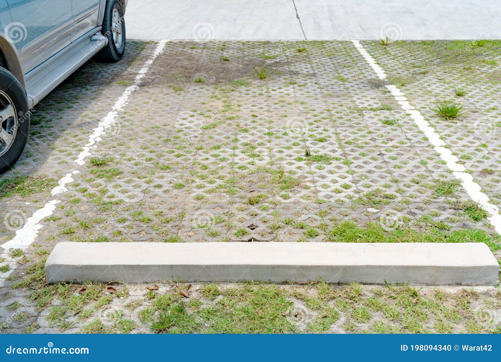 Brick Grass Background Stock Image | CartoonDealer.com #61224799