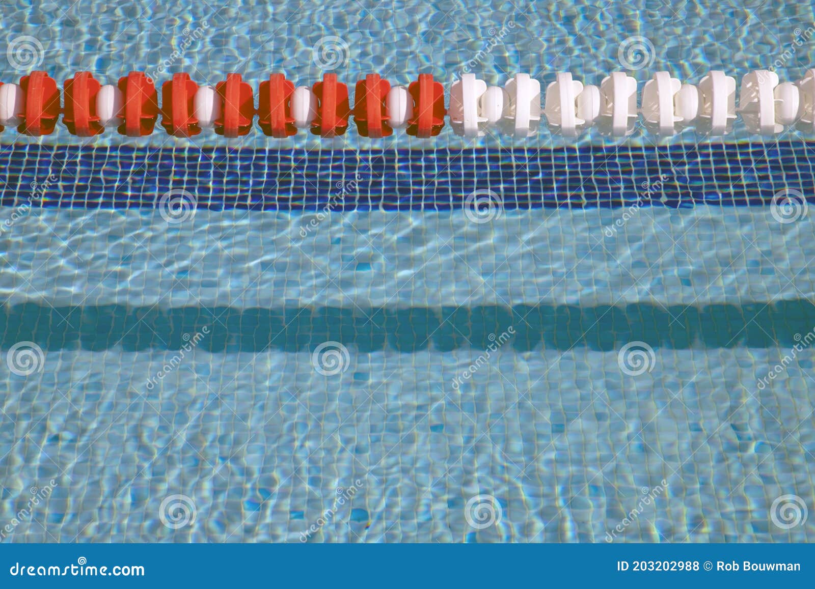 Lines in the pool stock photo. Image of water, competition - 203202988