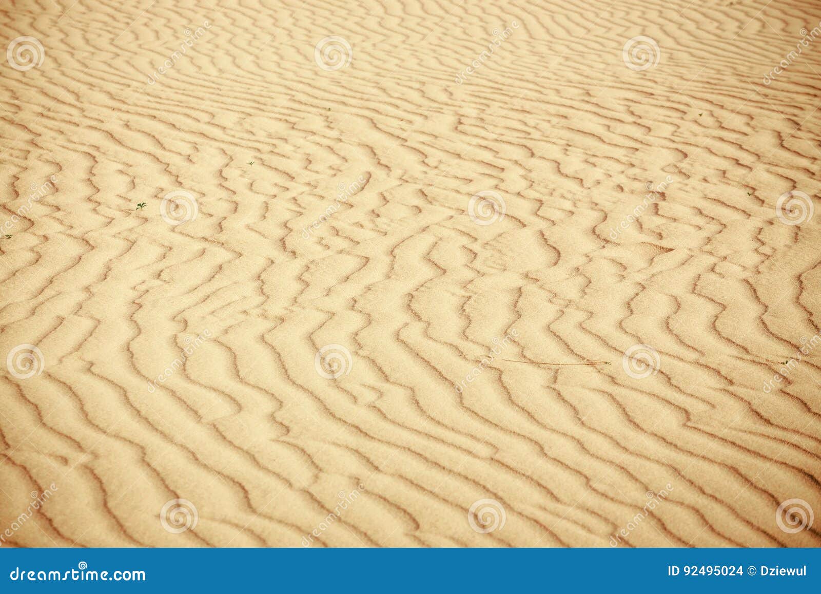 Lines in the Sand of a Beach Stock Photo - Image of abstract, scene ...