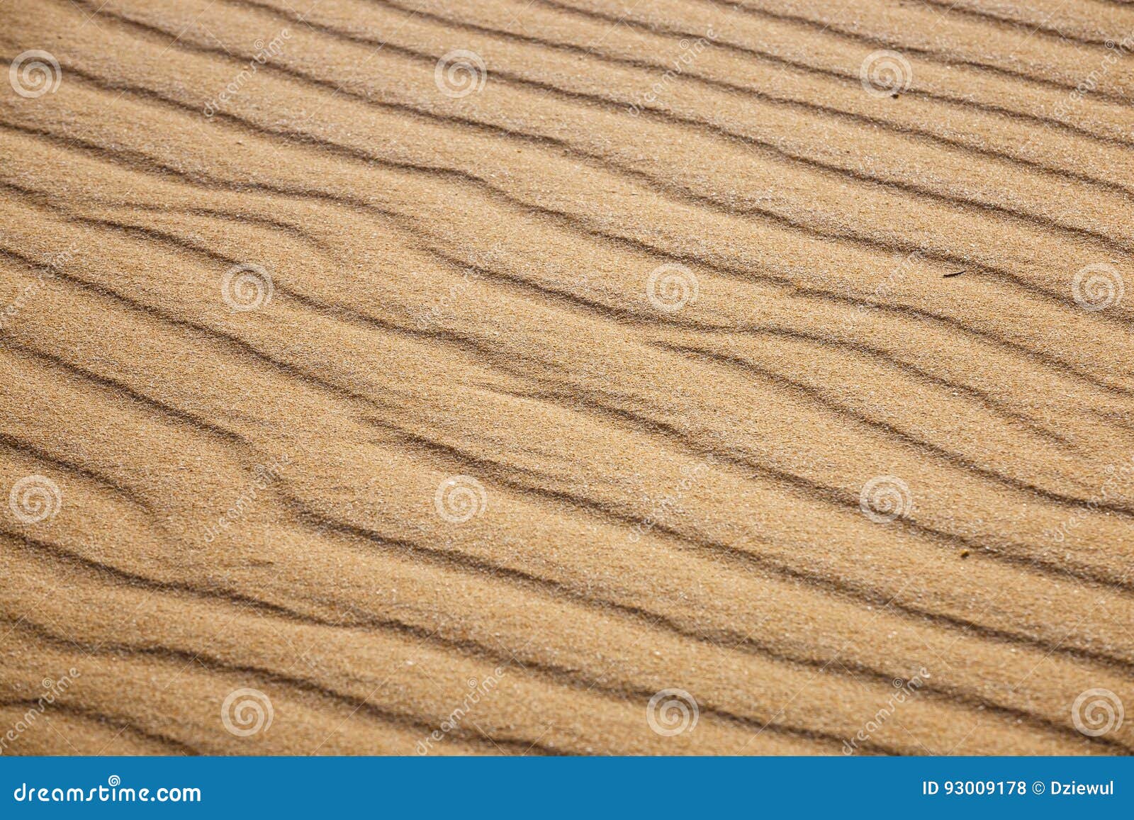 Lines in the Sand of a Beach Stock Photo - Image of sandy, holiday ...