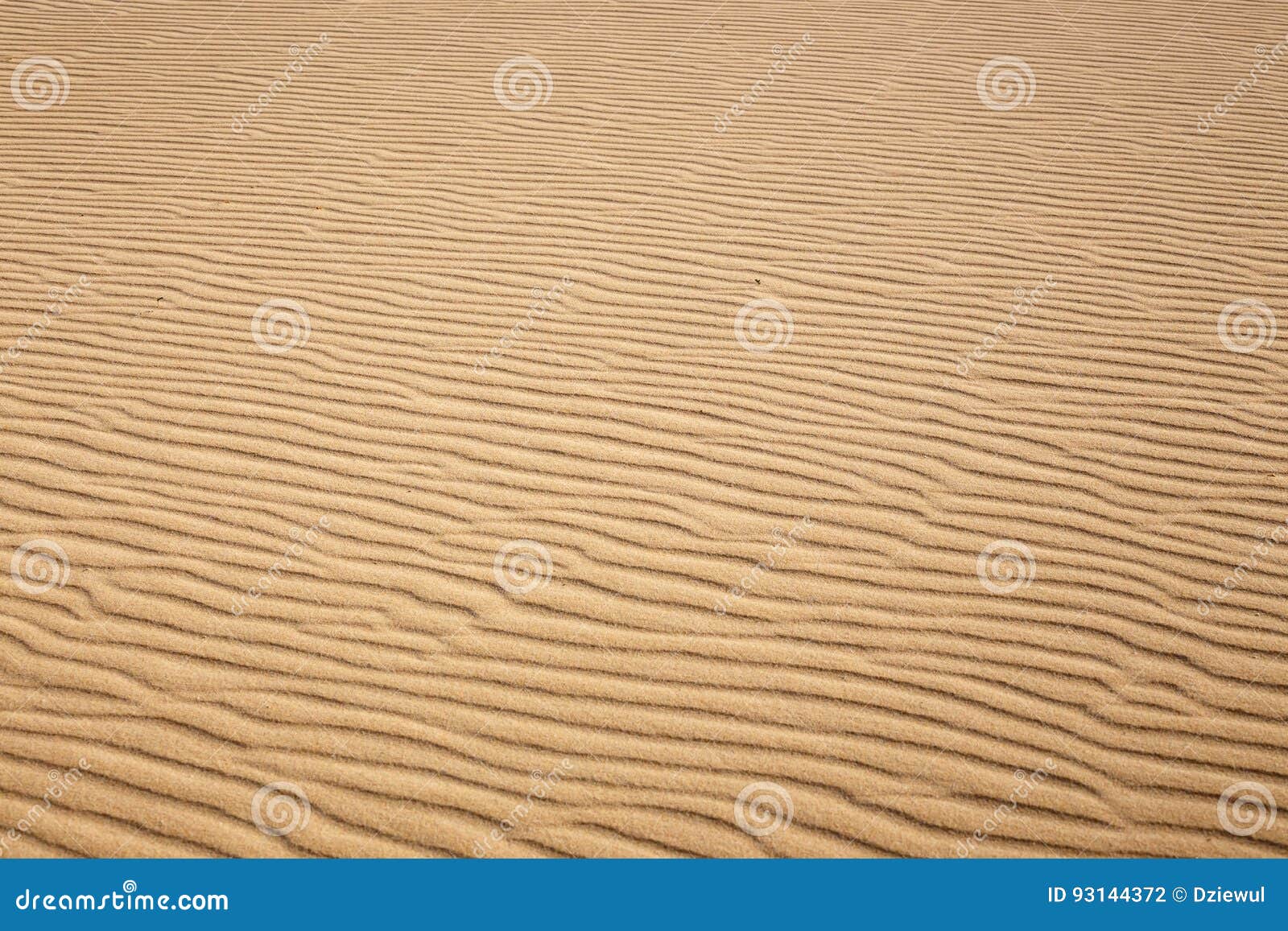 Lines in the Sand of a Beach Stock Photo - Image of fuerteventura ...