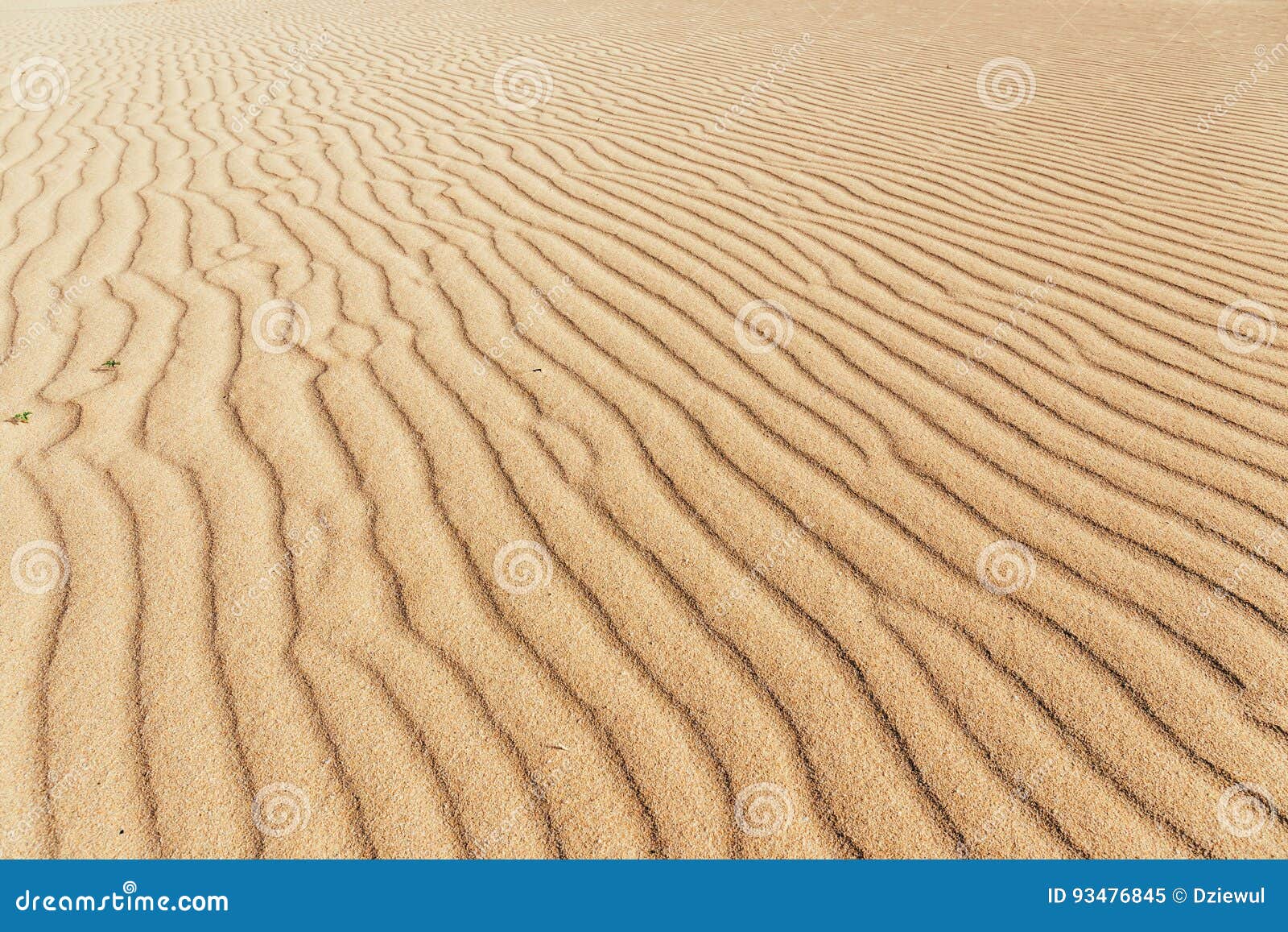 Lines in the Sand of a Beach Stock Image - Image of brown, beach: 93476845