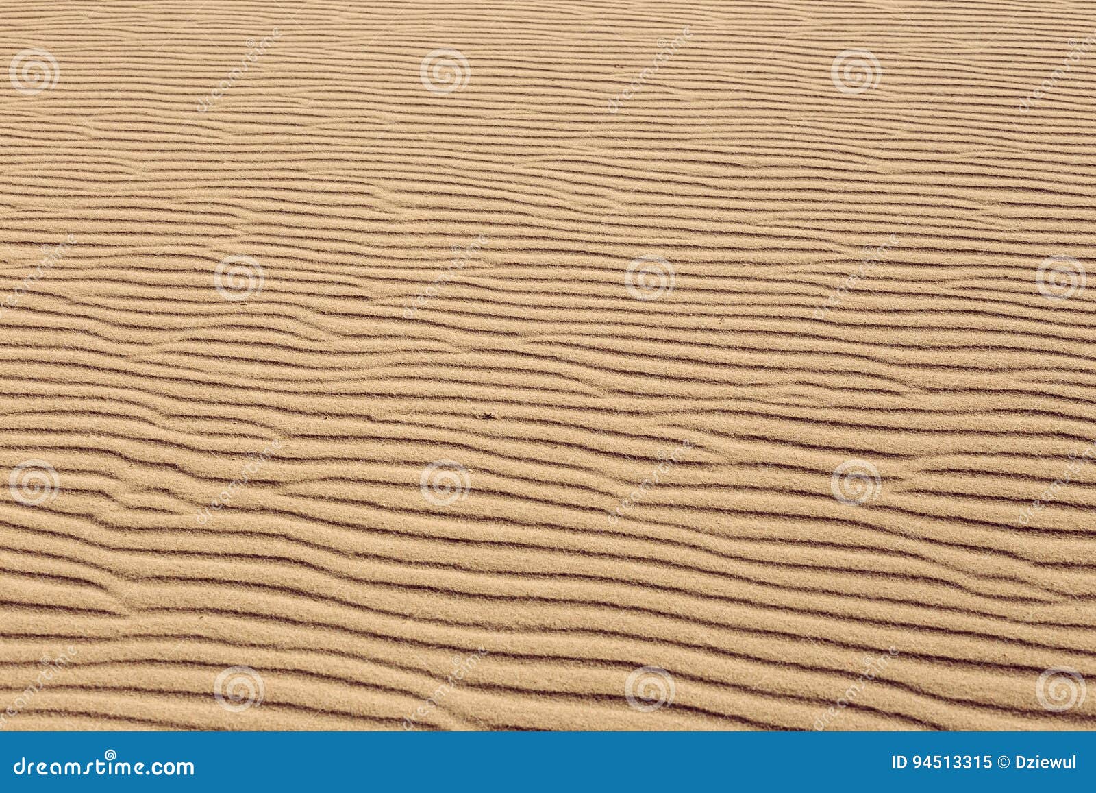 Lines in the Sand of a Beach Stock Image - Image of coastline, natural ...