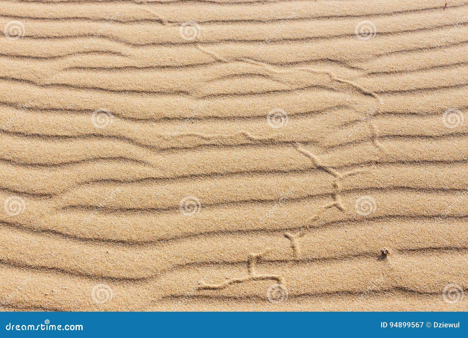 Lines in the Sand of a Beach Stock Image - Image of coast, leisure ...