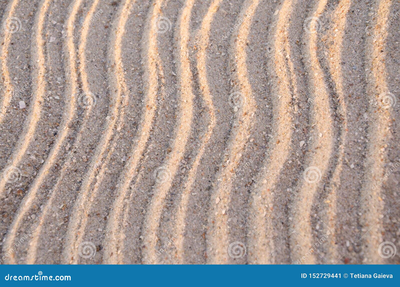 Lines in the Sand of a Beach Stock Image - Image of dune, golden: 152729441