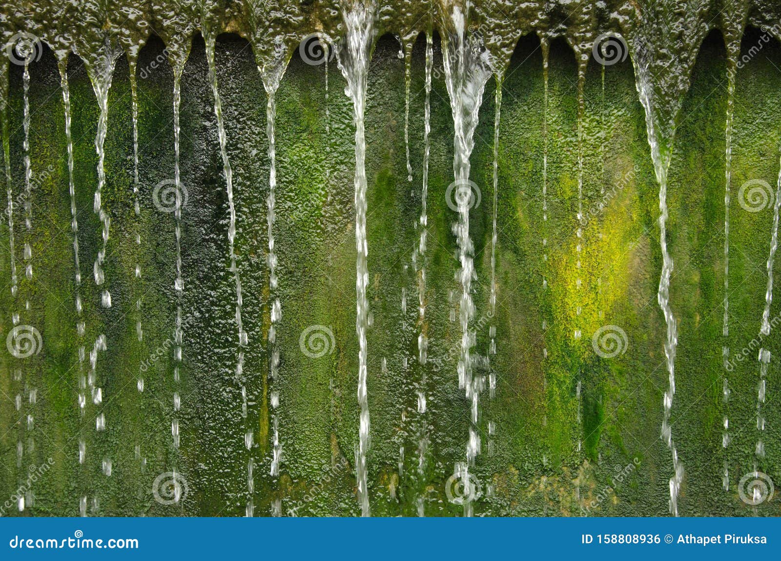 Lines of Small Waterfall on Green Moss Wall Stock Photo - Image of lant ...