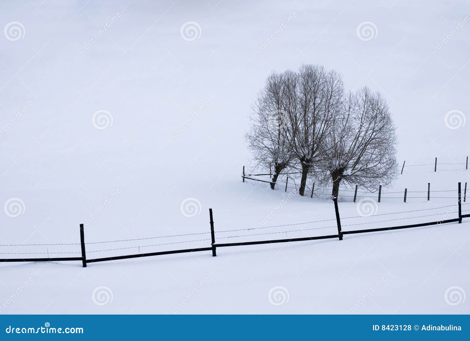 Lines in the snow stock photo. Image of beauty, landscape - 8423128
