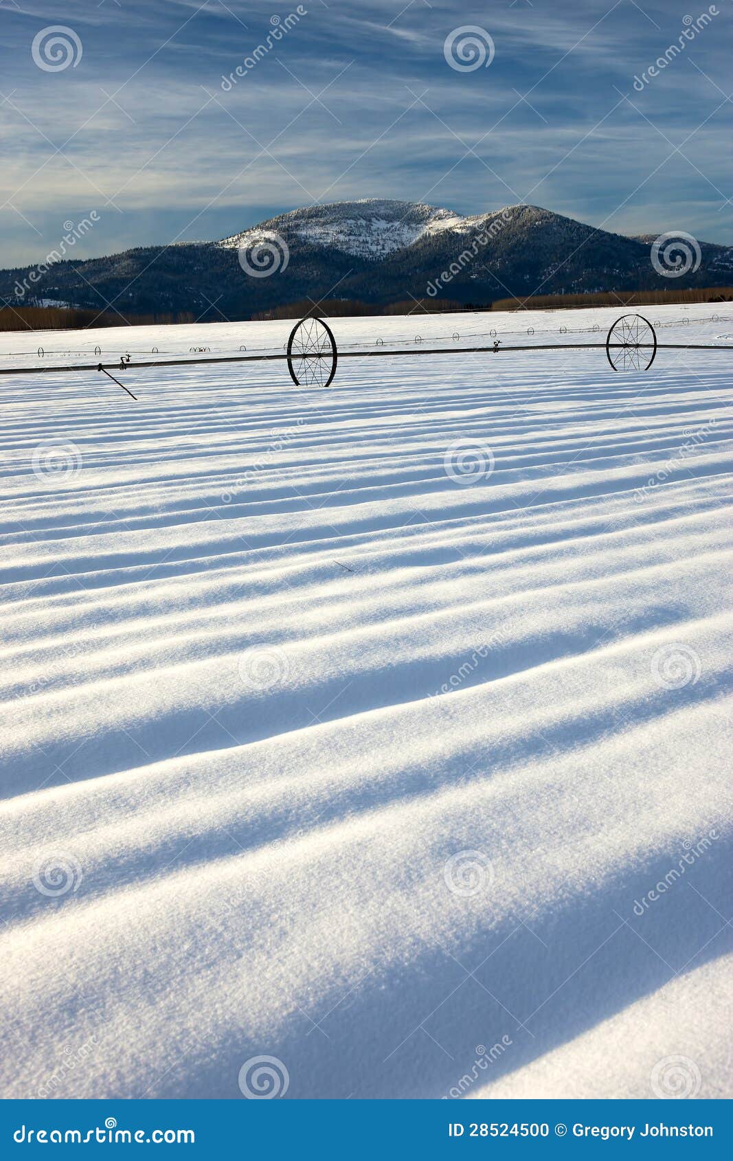 Lines in the snowy field. stock photo. Image of detail - 28524500