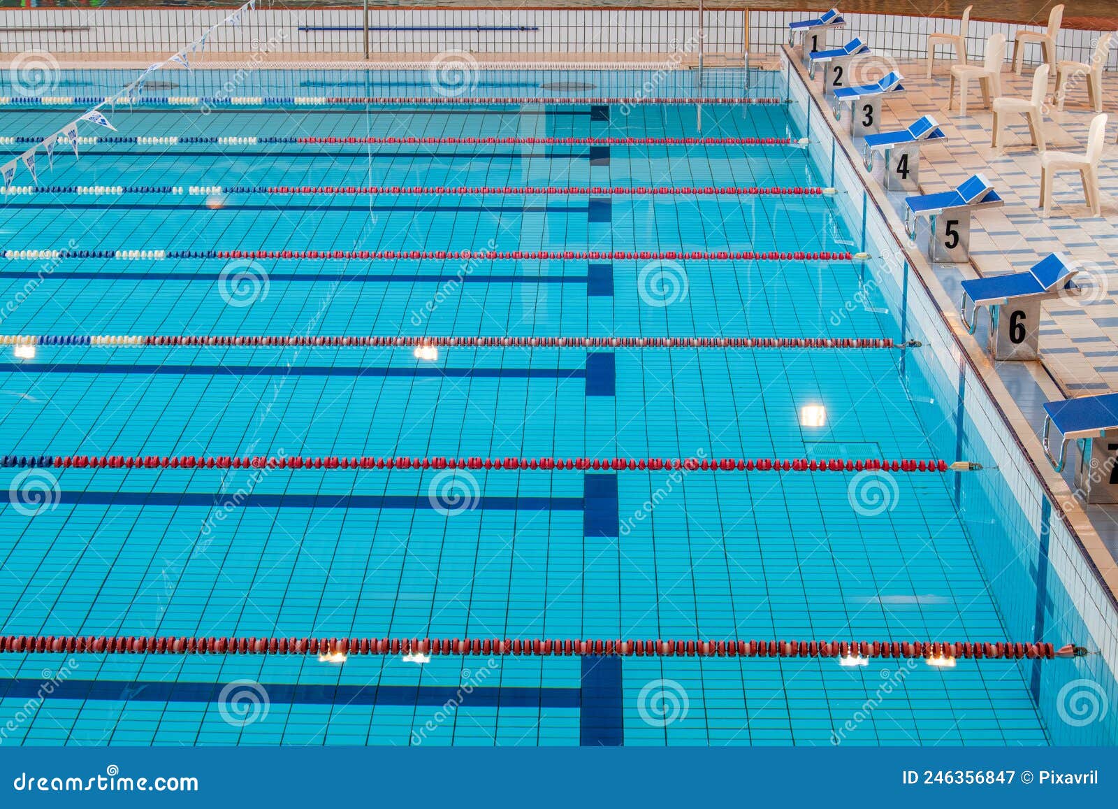 Lines in a swimming pool stock image. Image of competition - 246356847