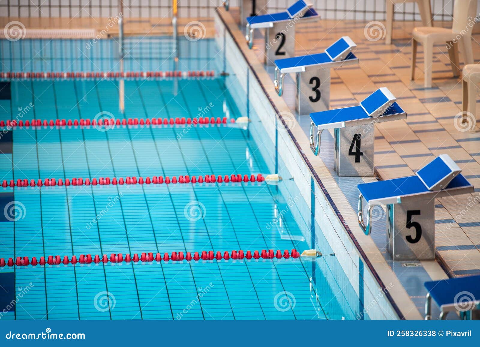 Lines in a swimming pool stock photo. Image of healthy - 258326338
