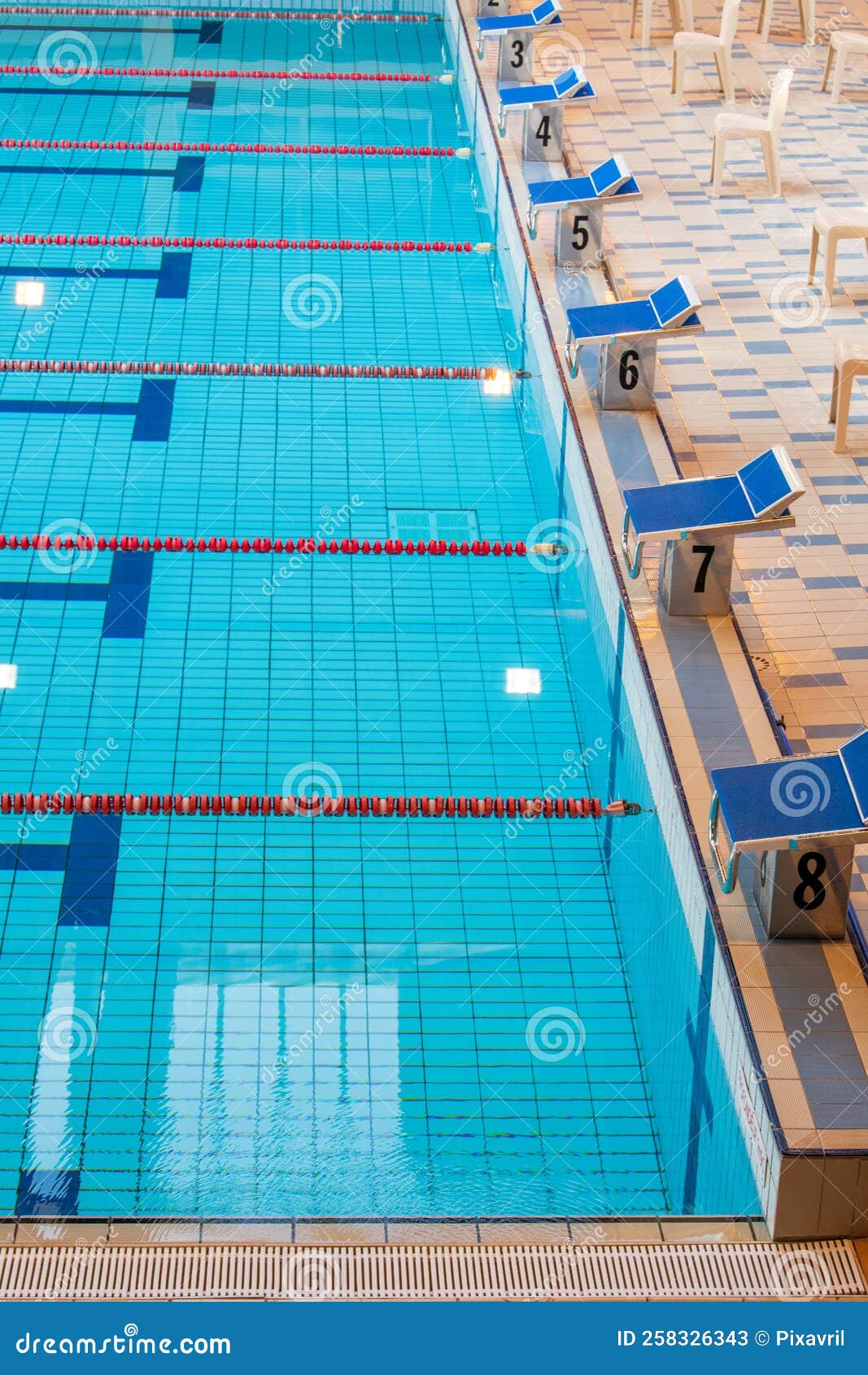 Lines in a swimming pool stock image. Image of exercise - 258326343