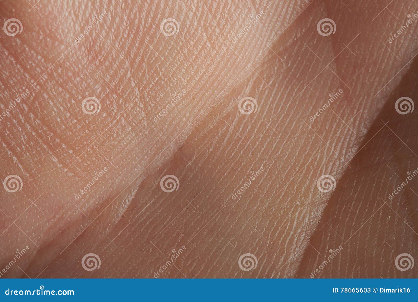 Lines on texture of skin stock image. Image of palms - 78665603