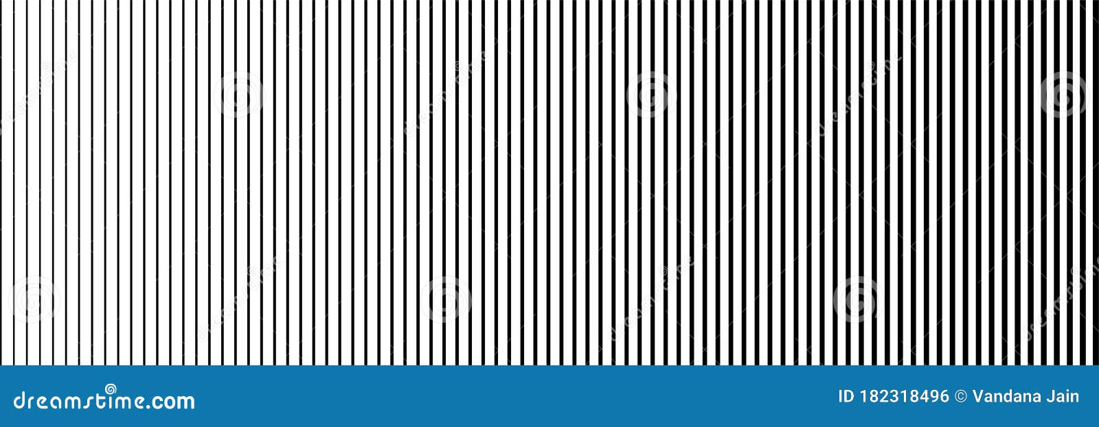 Stripes.Lines from Thin To Thick.straight, Parallel Vertical. Stock ...