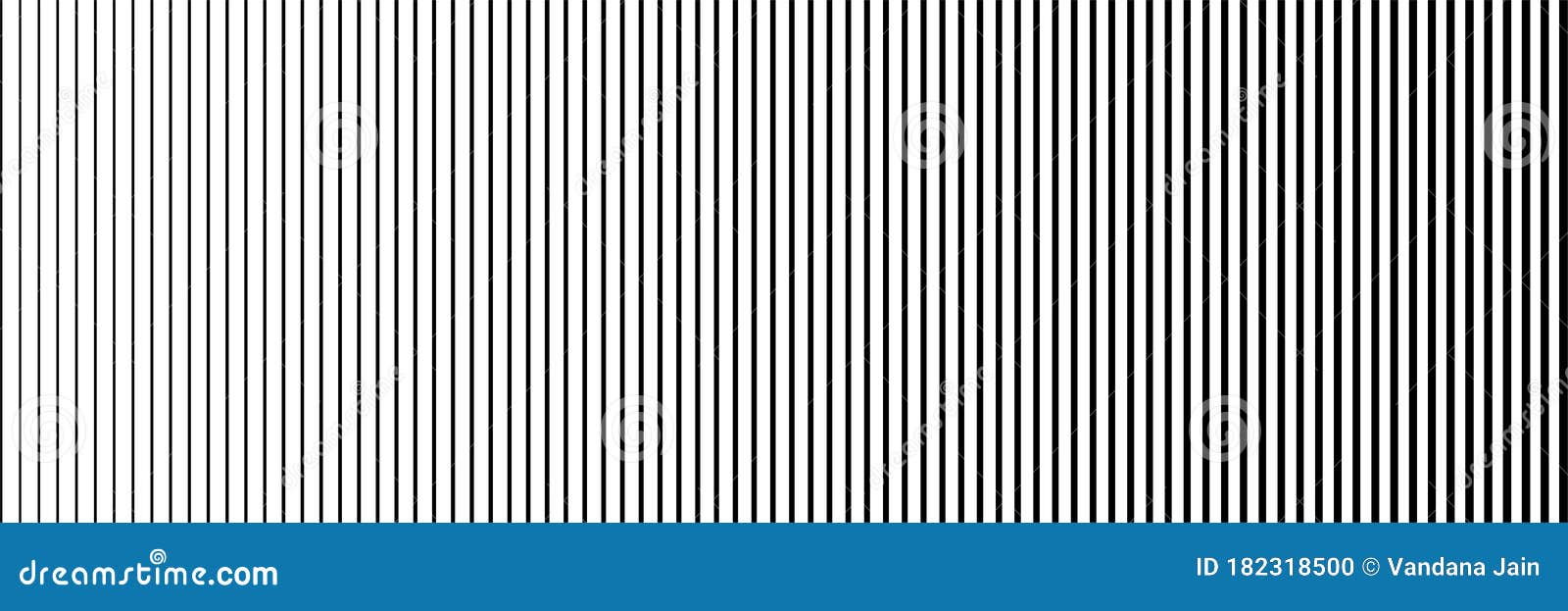 Stripes.Lines from Thin To Thick.straight, Parallel Vertical. Stock ...