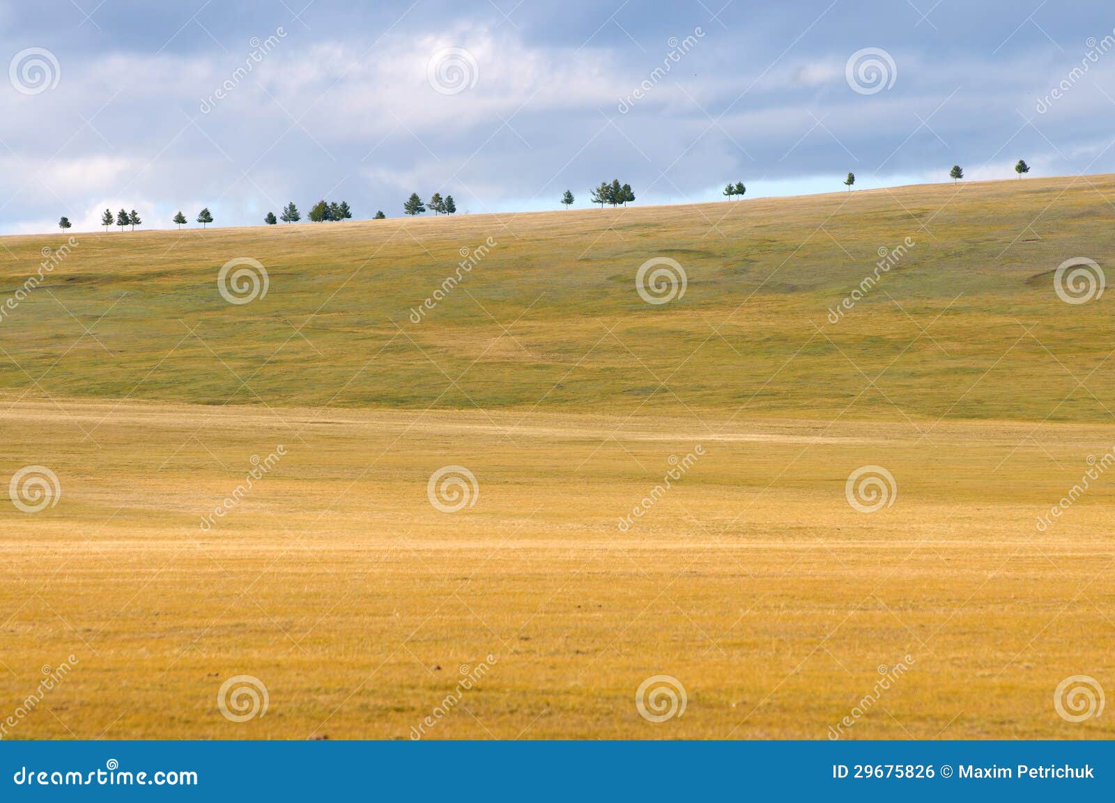 Lines of trees on horizon stock photo. Image of environment - 29675826