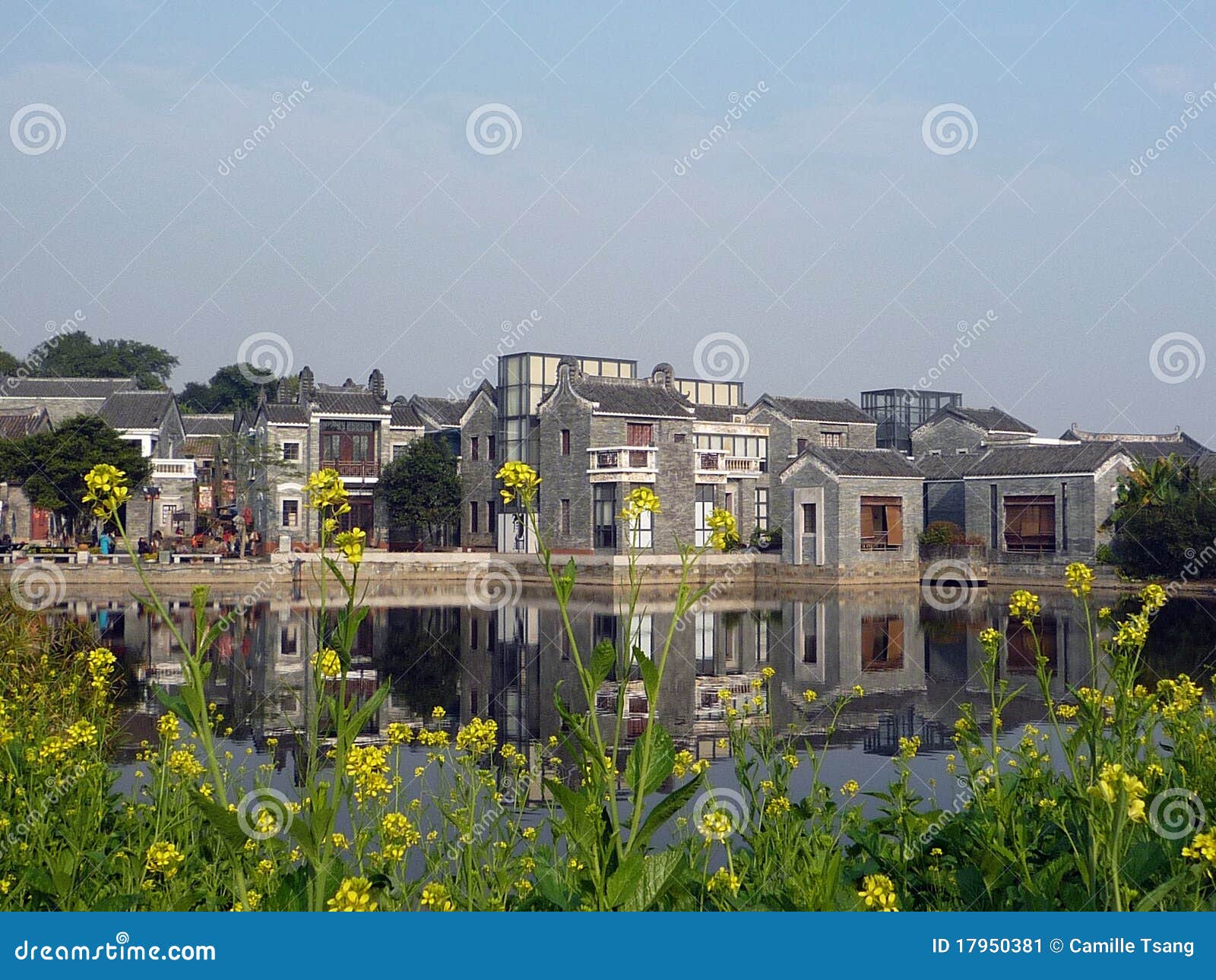 Yellow Flower with Traditional Chinese Houses Editorial Photo - Image ...